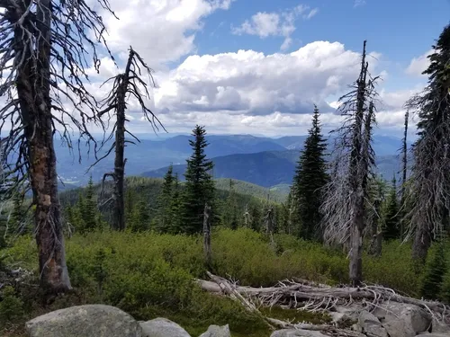 Best Walking Trails in Ione | AllTrails