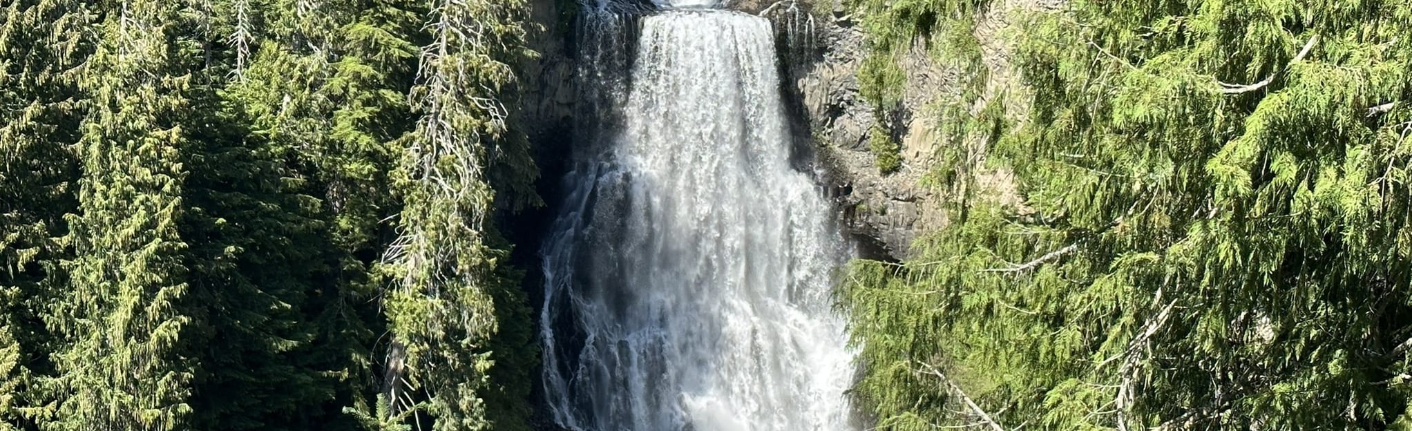 Alexander Falls and Callaghan Creek Trail: 70 Reviews, Map - British ...