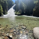 Walupt Creek Falls, Washington - 279 Reviews, Map | AllTrails