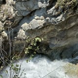 Fintry Provincial Park Loop, British Columbia, Canada - 151 Reviews ...