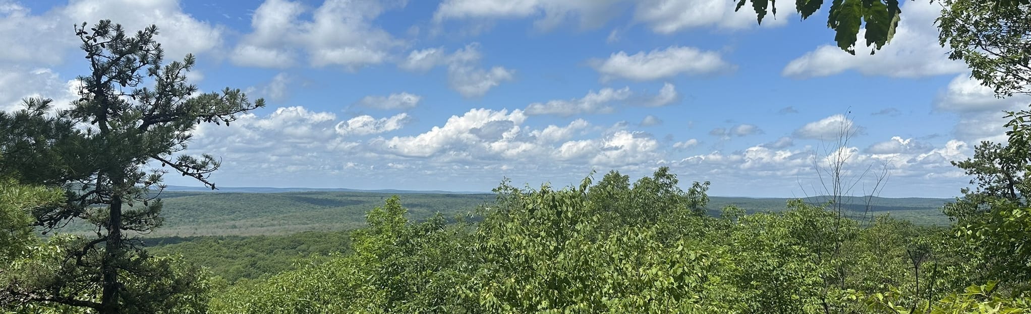 Stokes Forest Loop Trail: 35 Reviews, Map - New Jersey | AllTrails