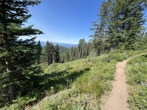 10 Best Hikes and Trails in Mount Spokane State Park | AllTrails
