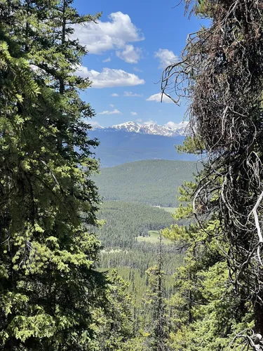 Best Hikes and Trails in Taylor Park | AllTrails