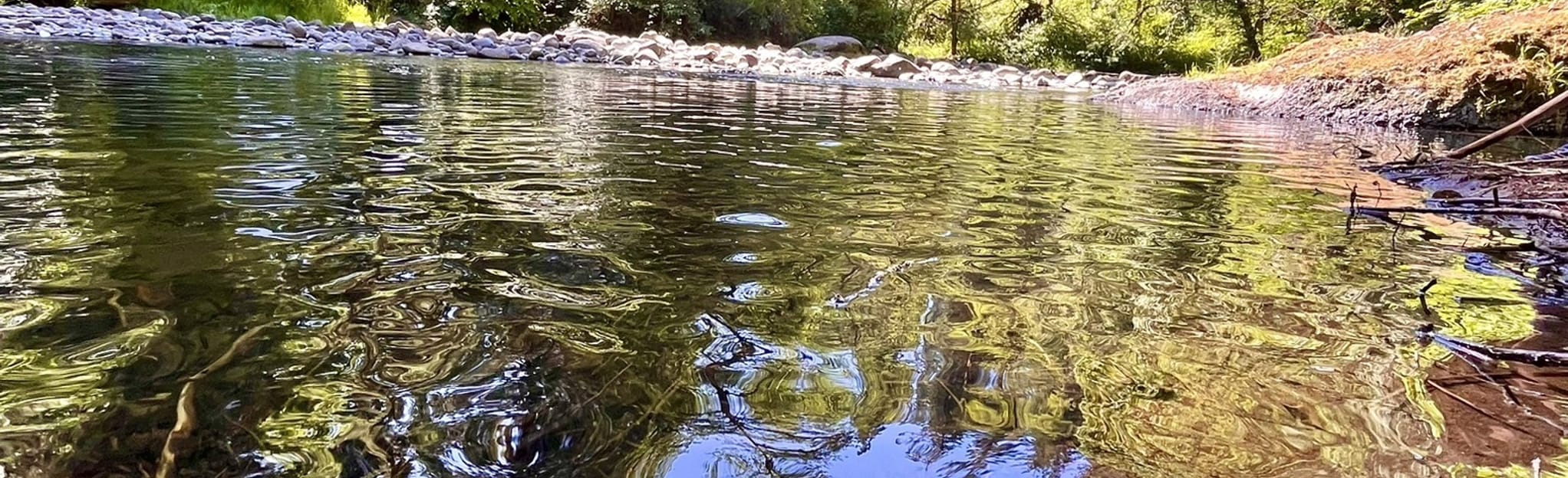 Eagle-Fern County Park Loop Trail, Oregon - 238 Reviews, Map | AllTrails