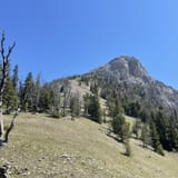 Bridger Ridge Trail, Montana - 177 Reviews, Map | AllTrails