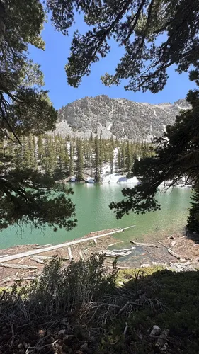 10 Best Hikes and Trails in Great Basin National Park | AllTrails