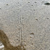 Quabbin Reservoir via Gate 40, Massachusetts - 204 Reviews, Map | AllTrails