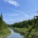Cyprus Lake Trail, Ontario, Canada - 314 Reviews, Map | AllTrails