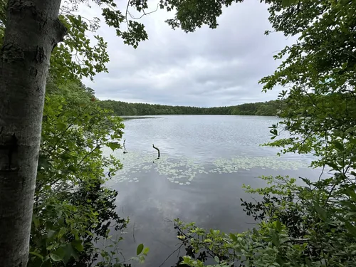 Best Hikes and Trails in Sandy Pond Recreation Area | AllTrails