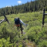 Wigwam Trail 609, Colorado - 448 Reviews, Map | AllTrails