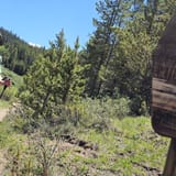 Wigwam Trail 609, Colorado - 448 Reviews, Map | AllTrails