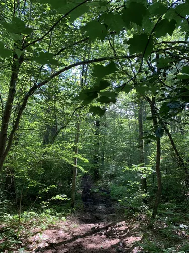 2023 Best Bird Watching Trails in Assonet | AllTrails