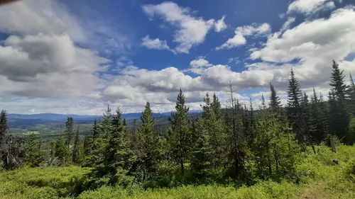 10 Best Trails and Hikes in Smithers | AllTrails