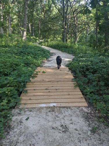 Best Hikes and Trails in Emricson Park | AllTrails
