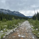 Goat Pond, Alberta, Canada - 135 Reviews, Map | AllTrails