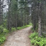 Goat Pond, Alberta, Canada - 135 Reviews, Map | AllTrails