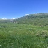 Clark Lake Loop Trail, Utah - 92 Reviews, Map | AllTrails