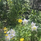 Clark Lake Loop Trail, Utah - 92 Reviews, Map | AllTrails