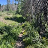 Clark Lake Loop Trail, Utah - 92 Reviews, Map | AllTrails