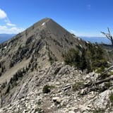 Bridger Ridge Trail, Montana - 177 Reviews, Map | AllTrails