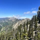 Bridger Ridge Trail, Montana - 177 Reviews, Map | AllTrails