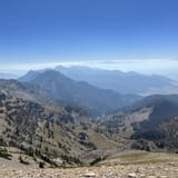Bridger Ridge Trail, Montana - 177 Reviews, Map | AllTrails