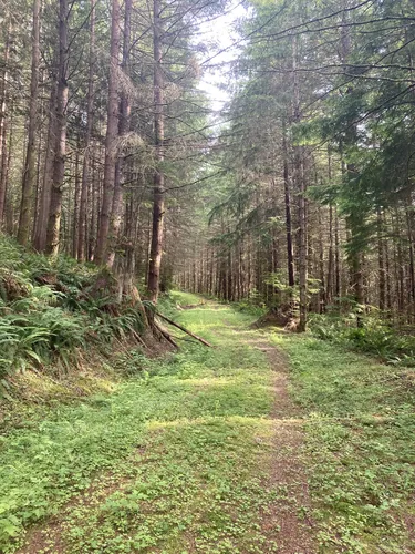 10 Best Trails and Hikes in Sedro-Woolley | AllTrails