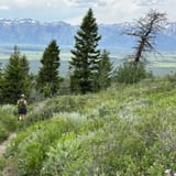 Goodwin Lake Trail, Wyoming - 320 Reviews, Map | AllTrails