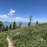 Goodwin Lake Trail, Wyoming - 320 Reviews, Map | AllTrails