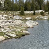 Goodwin Lake Trail, Wyoming - 320 Reviews, Map | AllTrails