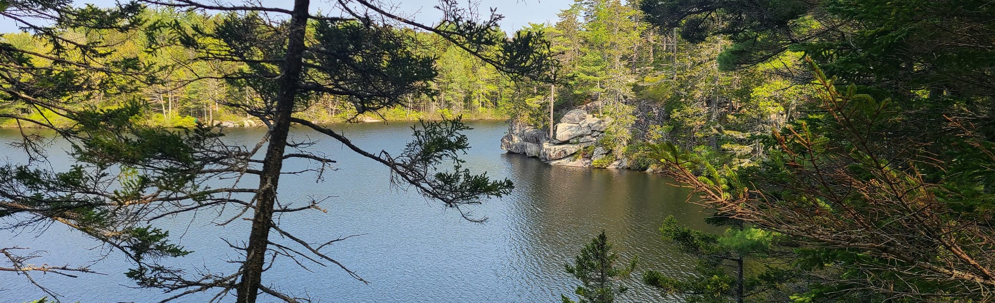 Peters Pond Loop: 53 Reviews, Map - Maine | AllTrails