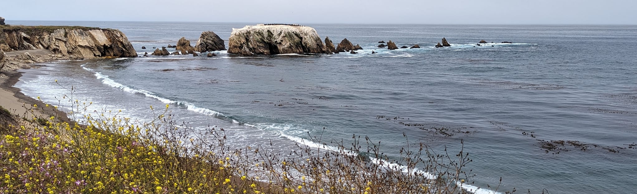 Point Buchon Trail, California - 464 Reviews, Map | AllTrails