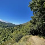 Pine Ridge and Post Creek Trail, California - 366 Reviews, Map | AllTrails