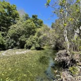 Pine Ridge and Post Creek Trail, California - 366 Reviews, Map | AllTrails