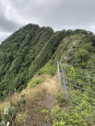 2023 Best Trails, Walks, and Paths in Schofield Barracks | AllTrails