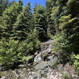 Camas Lake Trail, Montana - 286 Reviews, Map | AllTrails