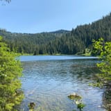 Deer Lake Trail, Washington - 669 Reviews, Map | AllTrails