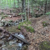 The Flume Fall , New York - 629 Reviews, Map | AllTrails