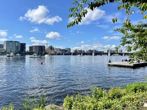 10 Best Forest Trails in Boston | AllTrails