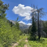 Kelly Lake Trail, Colorado - 105 Reviews, Map | AllTrails