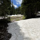 Kelly Lake Trail, Colorado - 105 Reviews, Map | AllTrails