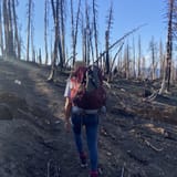 Mount Linn Loop, California - 20 Reviews, Map | AllTrails