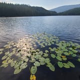 Sasamat Lake Loop Trail - Woodhaven Trail - Woodhaven Swamp Loop Trail ...
