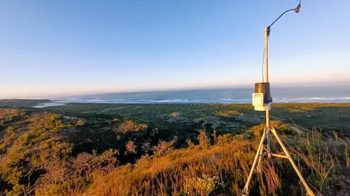 2023 Best Trails, Walks, and Paths in Buffelsbaai | AllTrails