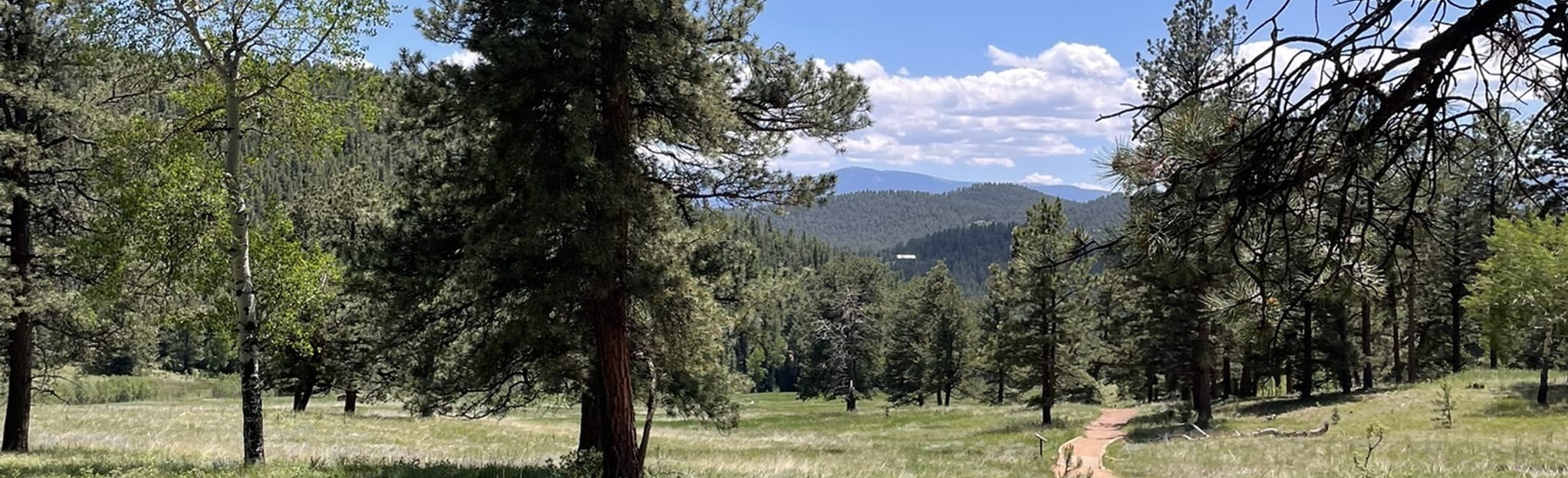 Mason Creek Trail: 205 Reviews, Map - Colorado | AllTrails