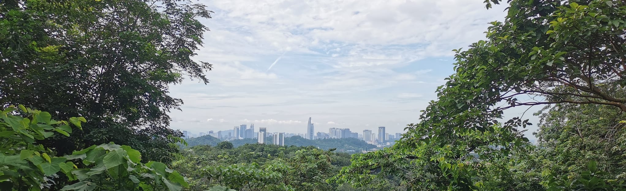 Taman Rimba Kiara, Selangor, Malaysia - 12 Reviews, Map | AllTrails