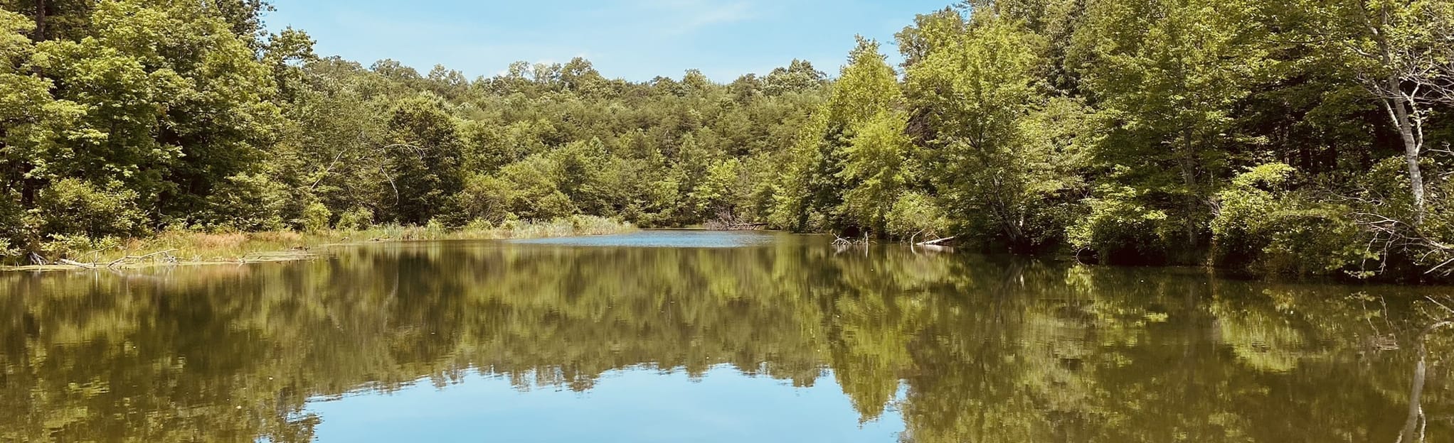 Palmetto Trail: Pennell Road to Vaughns Gap: 317 Reviews, Map - South ...