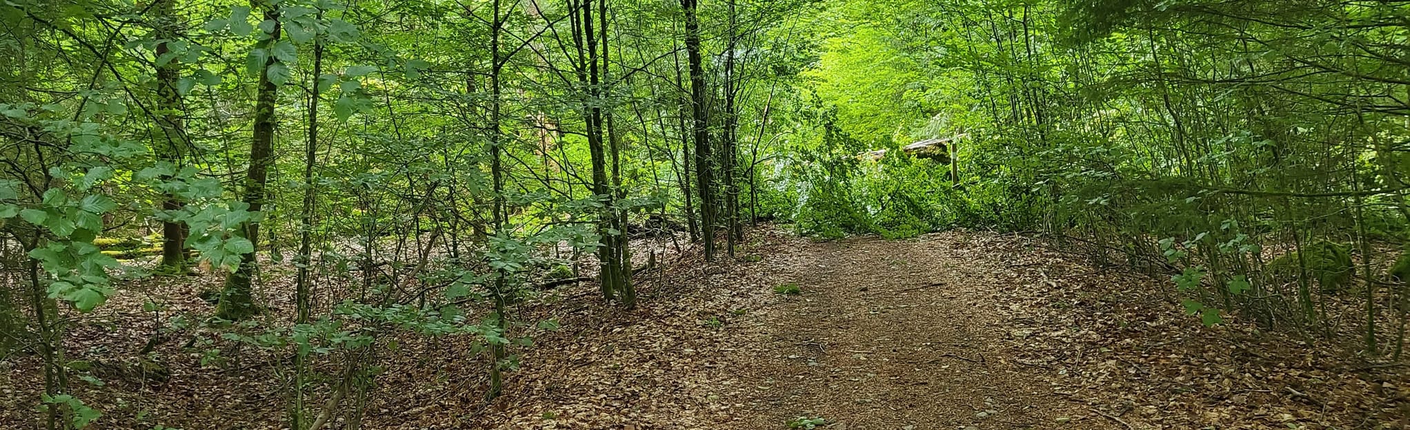 Åkulla Bokskogar – Bockstensstigen Loop: 28 Reviews, Map - Halland ...