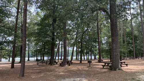 Best Hikes and Trails in Trap Pond State Park | AllTrails