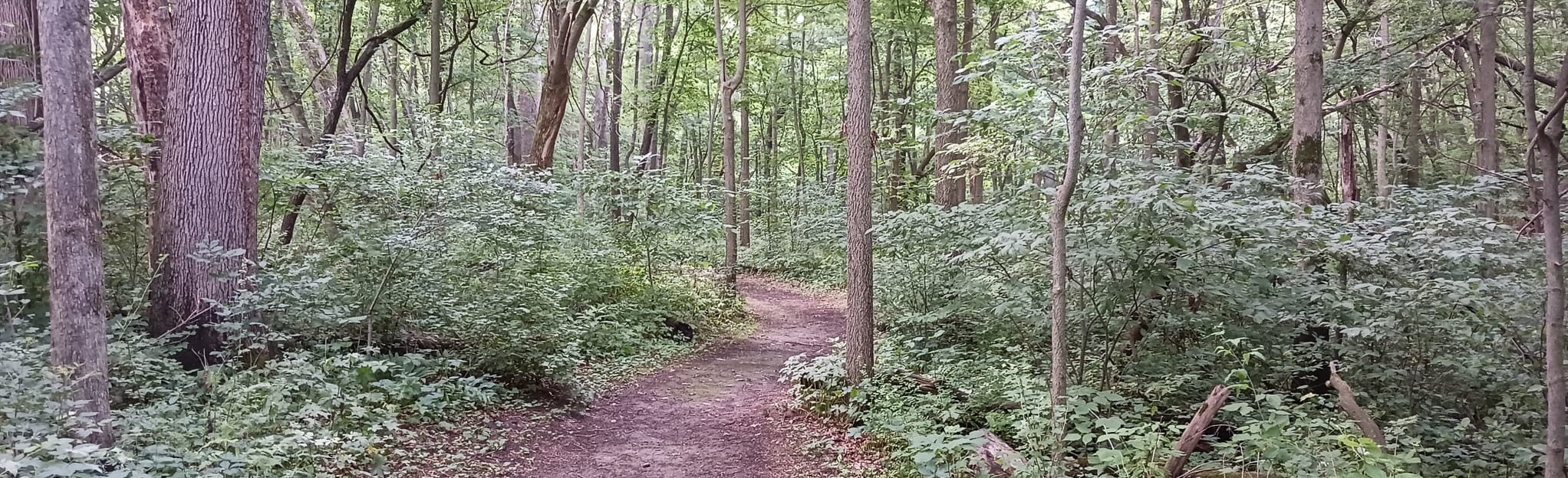 Oakdale Loop, Illinois - 3 Reviews, Map | AllTrails